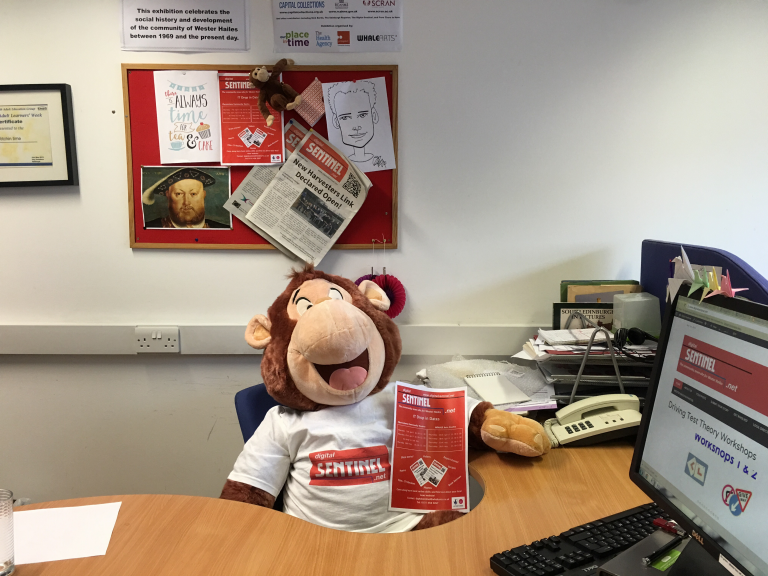 Digital Sentinel | Can you help name the Digital Sentinel Mascot?