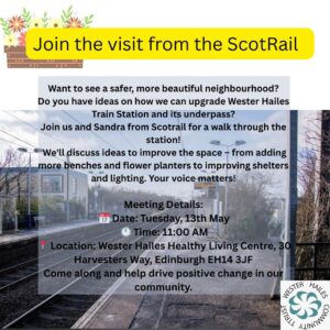 Digital Sentinel - Wester Hailes Station Consultation